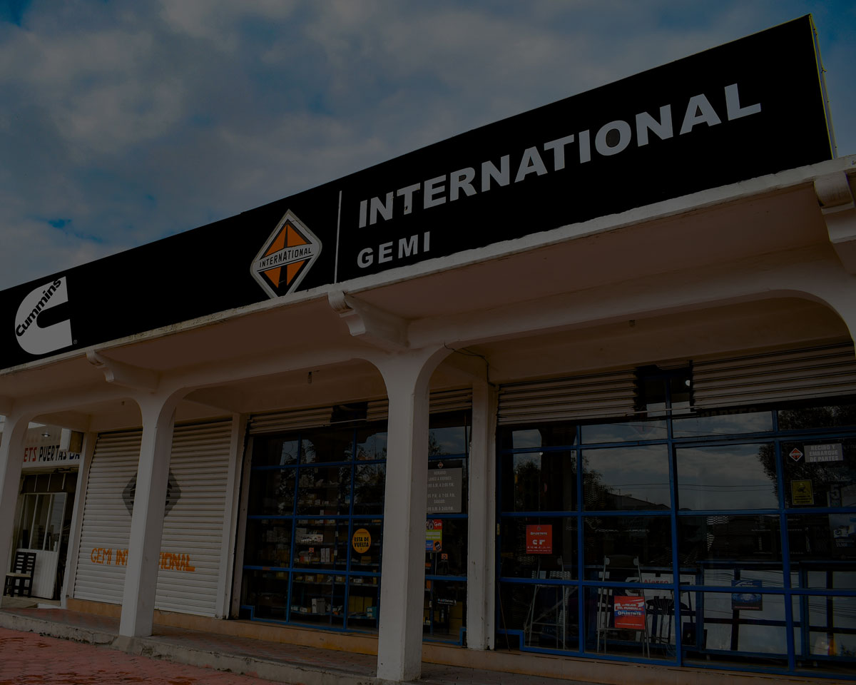 GEMI INTERNATIONAL